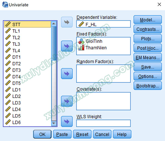 Two-Way ANOVA trong SPSS: Phân tích sự khác biệt trung bình - HNC